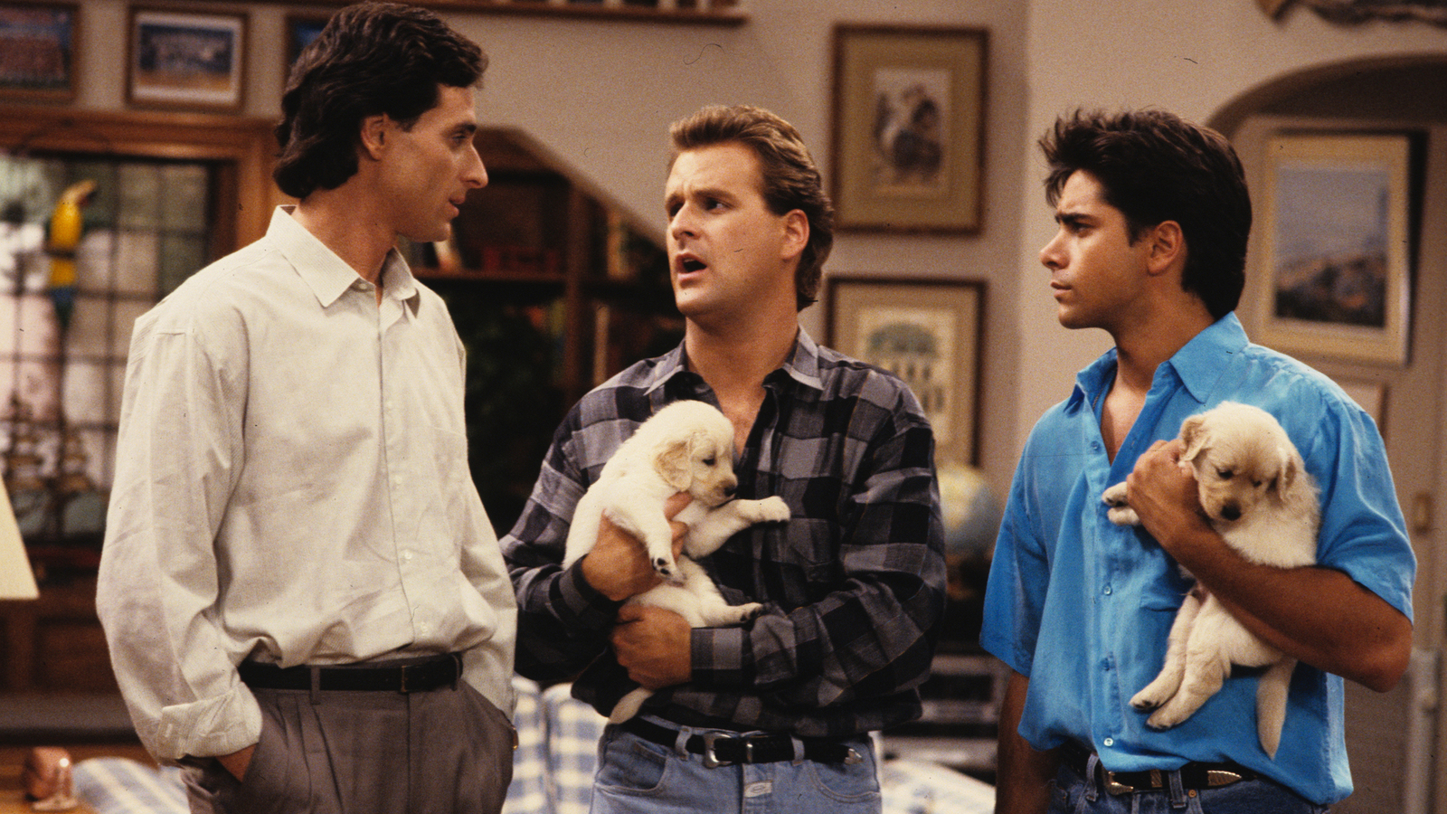 The 20 most famous dogs in television history | Yardbarker