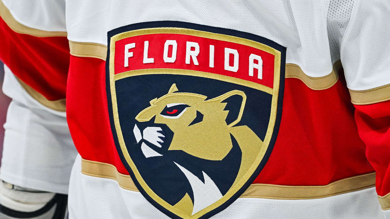 Florida Panthers Celebrate the Stanley Cup — At Center Ice | Yardbarker