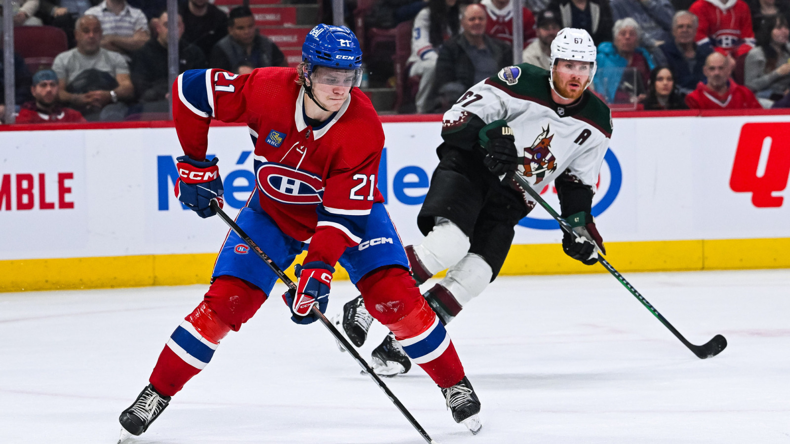 Montreal Canadiens Sign Kaiden Guhle To Long-Term Extension | Yardbarker