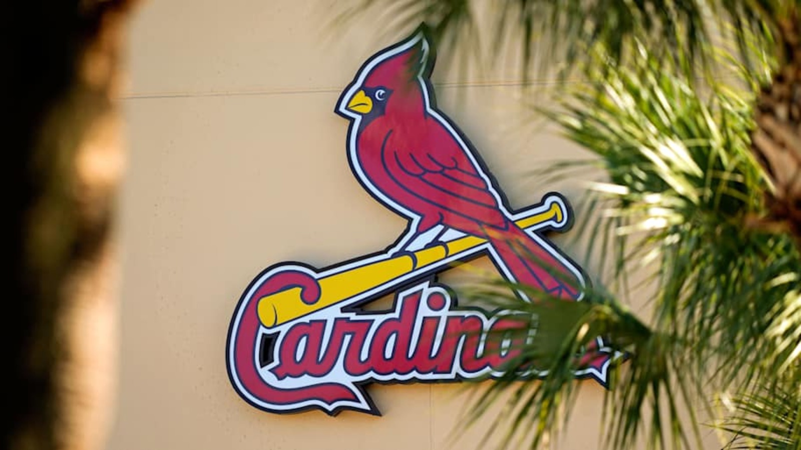 Cardinals Lose 6-Year Veteran Just Days After Activation | Yardbarker