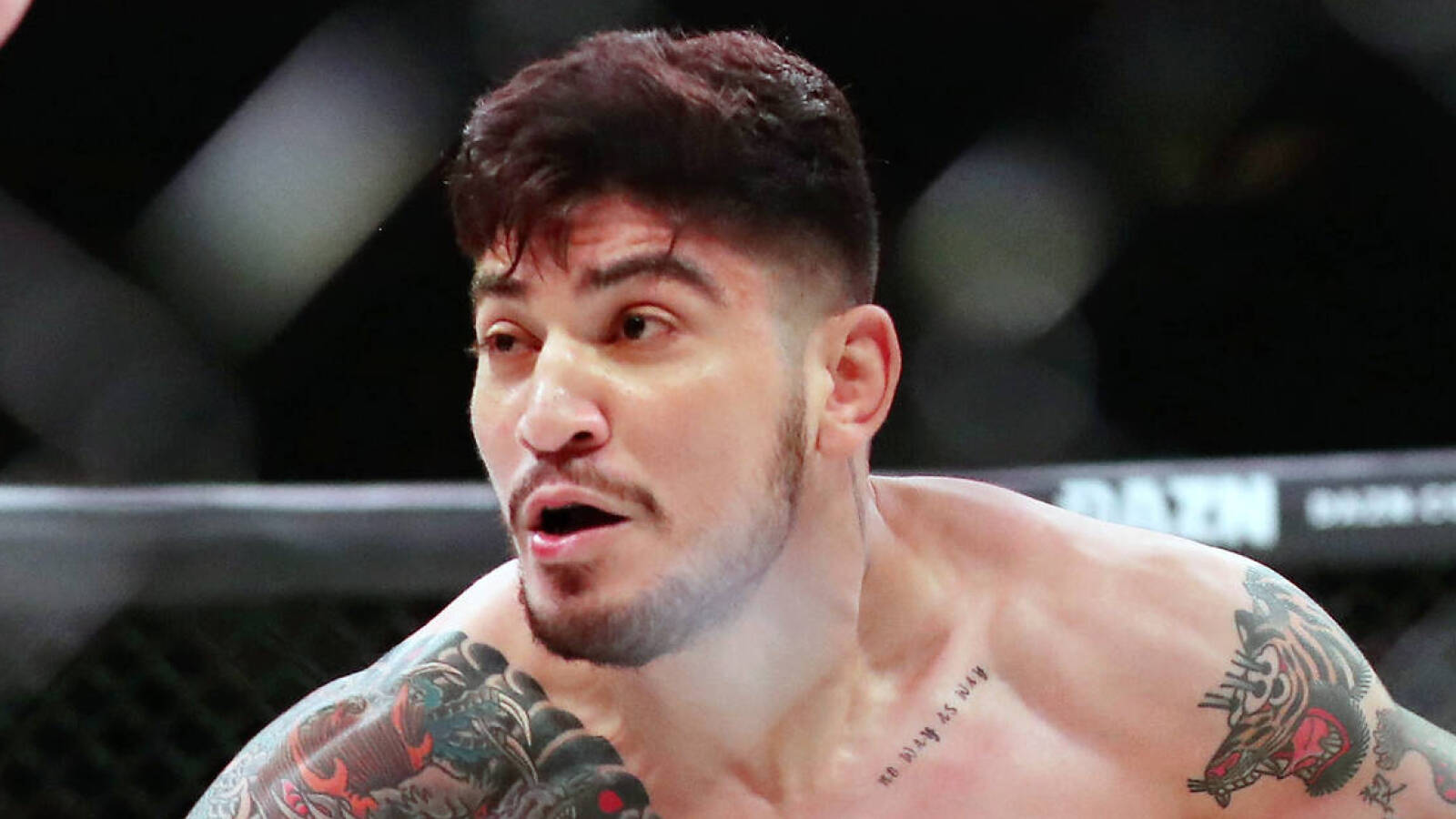 Max gets into MMA business, acquires Bellator streaming rights for 2024 ...