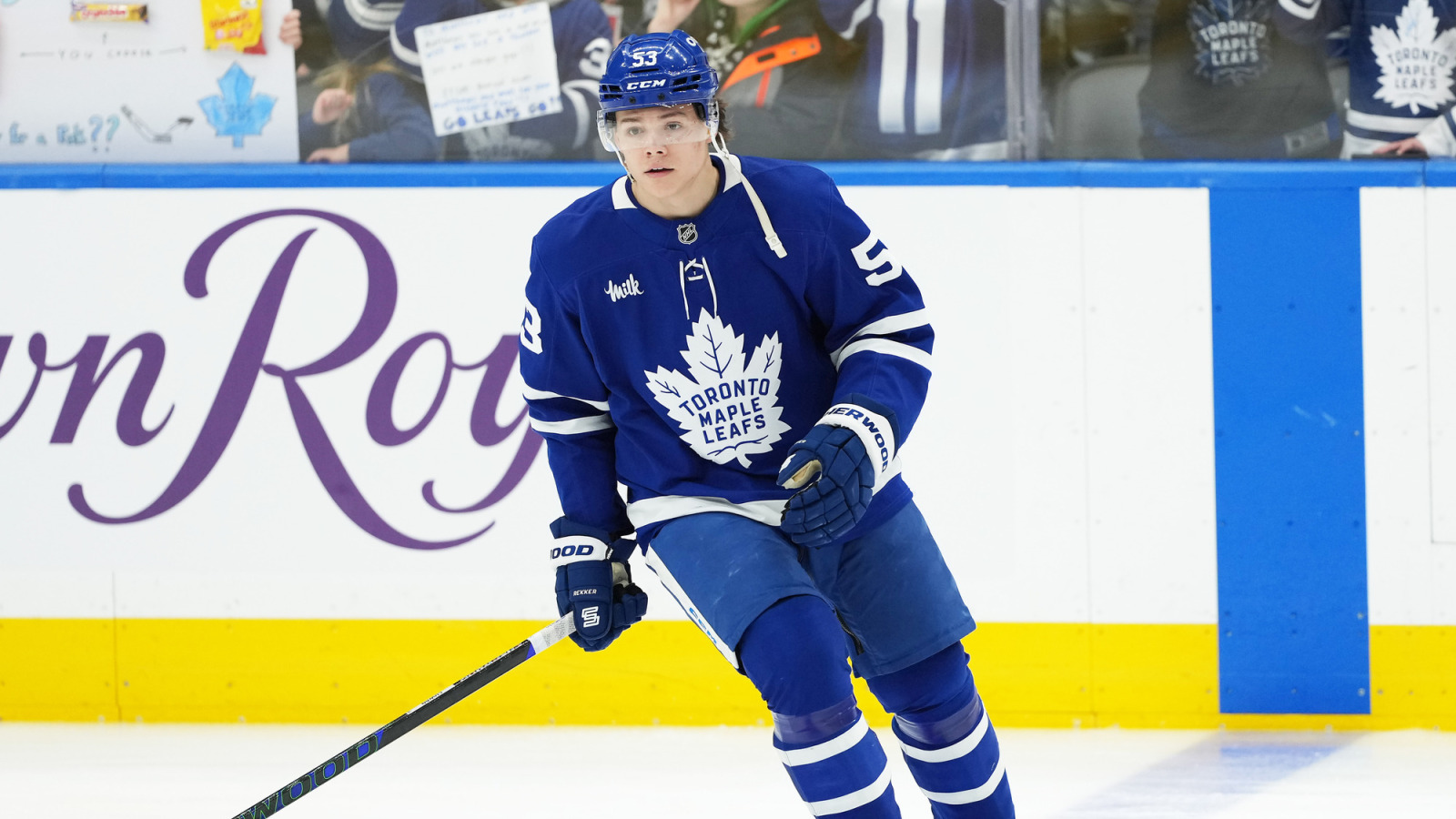 Checking in on the Toronto Maple Leafs top prospects at the midway mark ...
