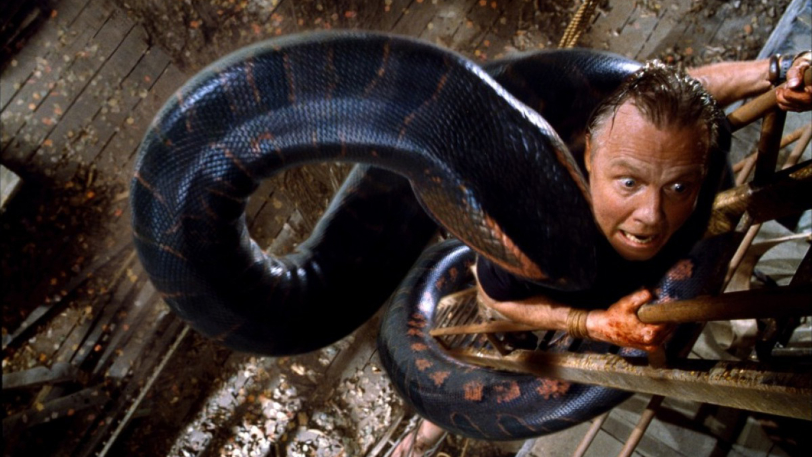 Wild things: Unforgettable killer animals in cinema | Yardbarker