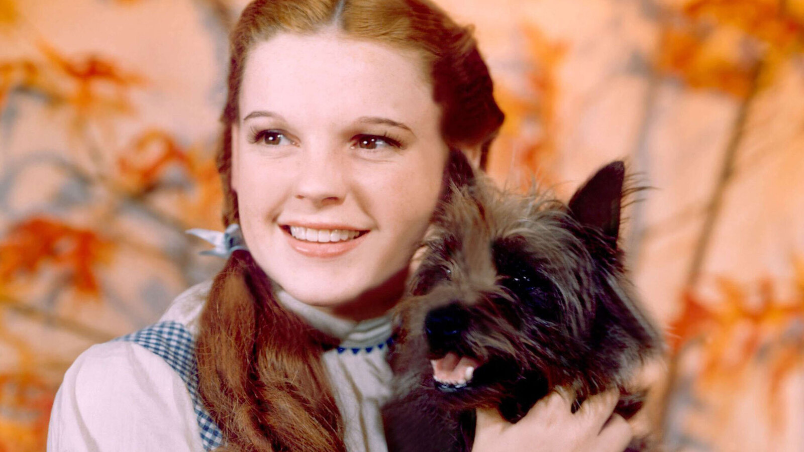 The 20 most beloved movie dogs | Yardbarker