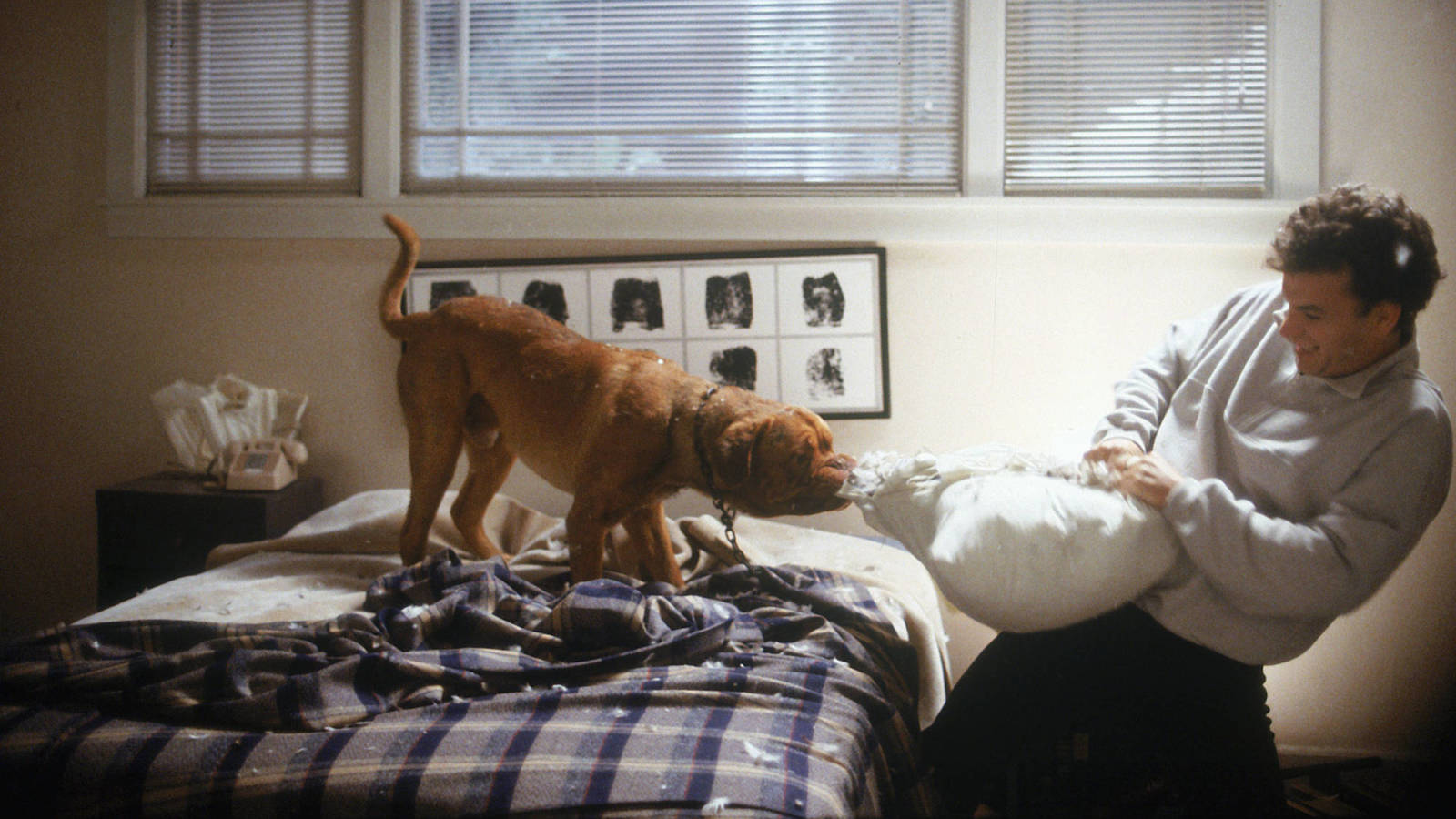 Our 20 favorite films about dogs | Yardbarker