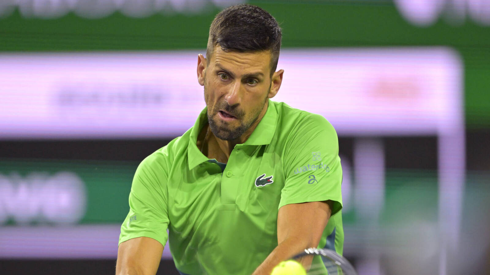 Watch: Novak Djokovic hit in the head by a water bottle after match ...