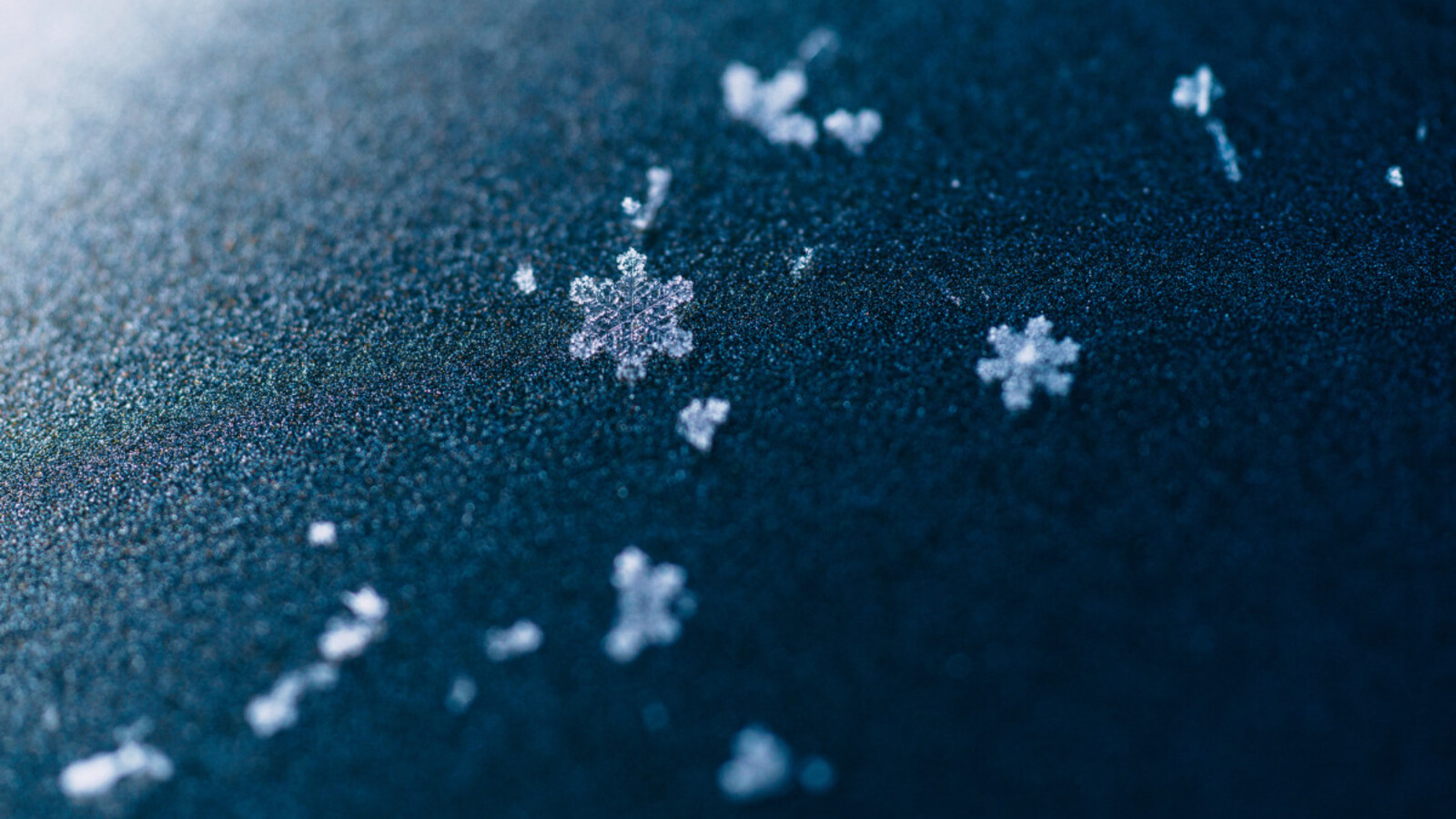 Winter Arrives Early as New Mexico Ski Resort Gets First Snowfall ...