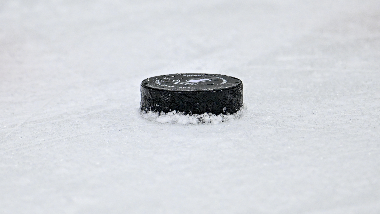 Flames Prospect Roundup: Jacob Battaglia had a four-point night ...