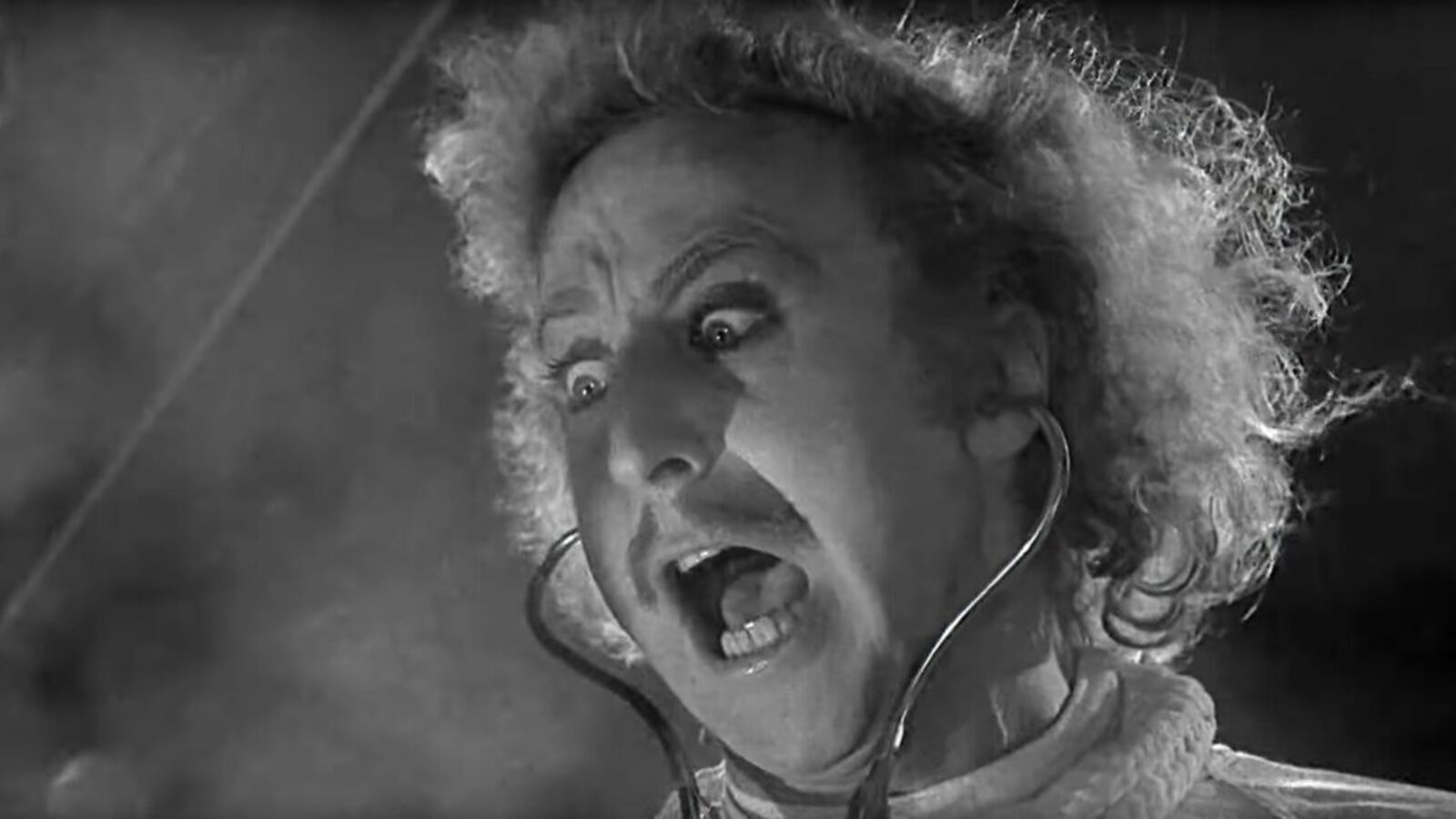 ‘Young Frankenstein’ Reboot From ‘What We Do in the Shadows’ Team & Mel ...