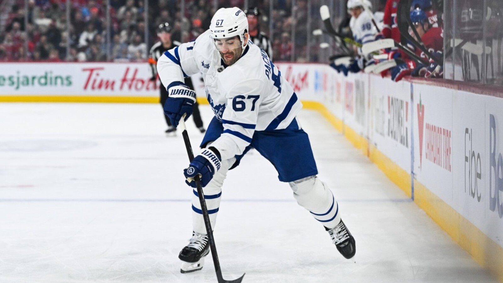 Gabibombom autumn is a a beautiful young woman with