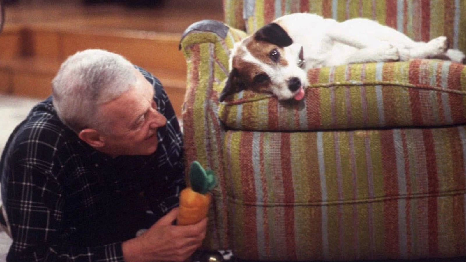 The 25 most memorable TV pets | Yardbarker