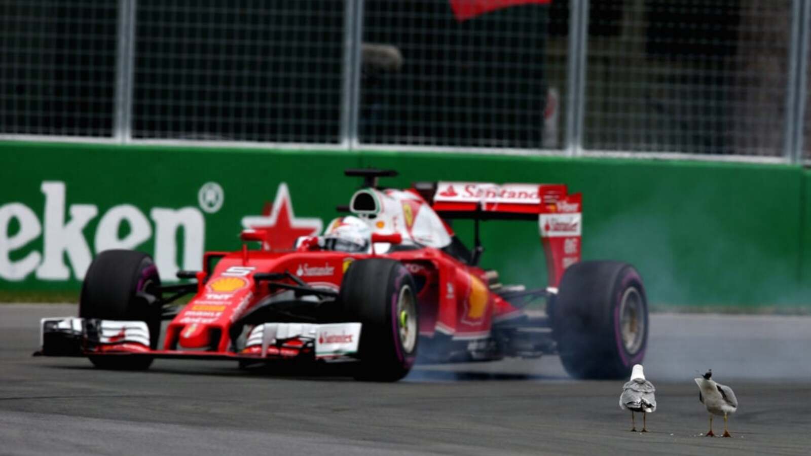 Sebastian Vettel once claimed a seagull cost him time in an F1 battle ...
