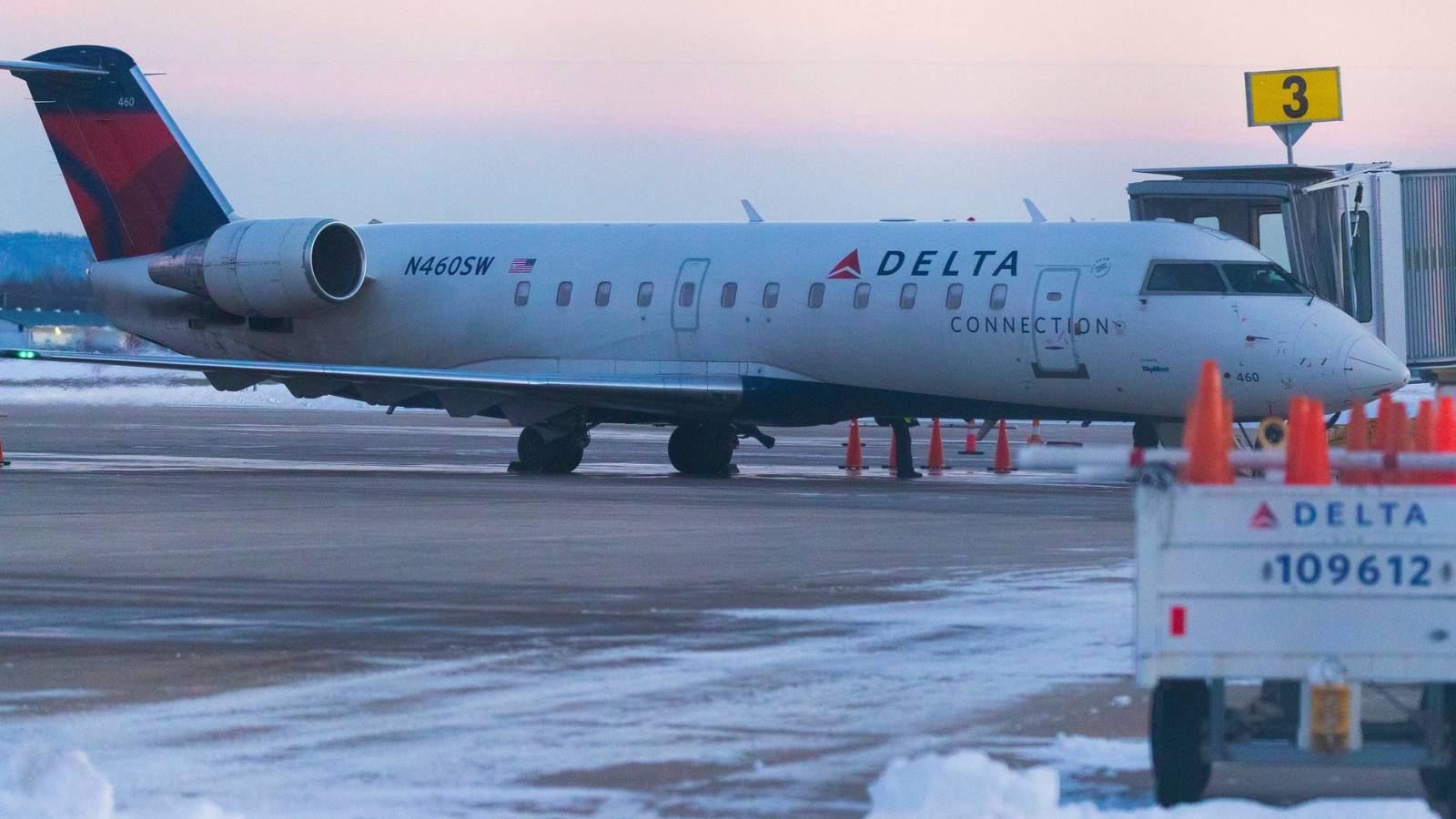 Flight carrying Jazz makes emergency landing after hitting birds ...