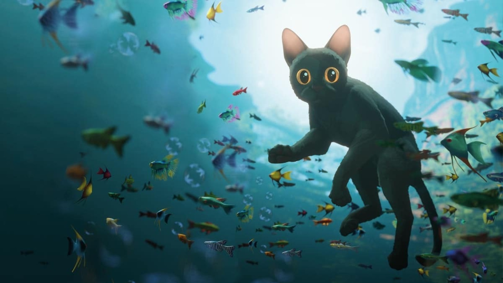 'Flow' Achieves Universal Acclaim Following Golden Globe and Oscar Wins ...