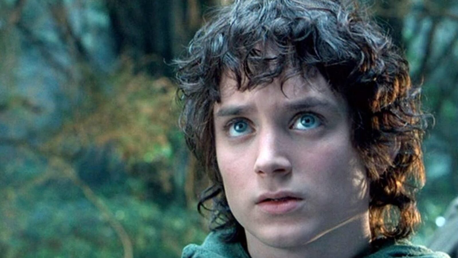 Watch: Elijah Wood crashes wedding for a memorable moment in The Shire ...