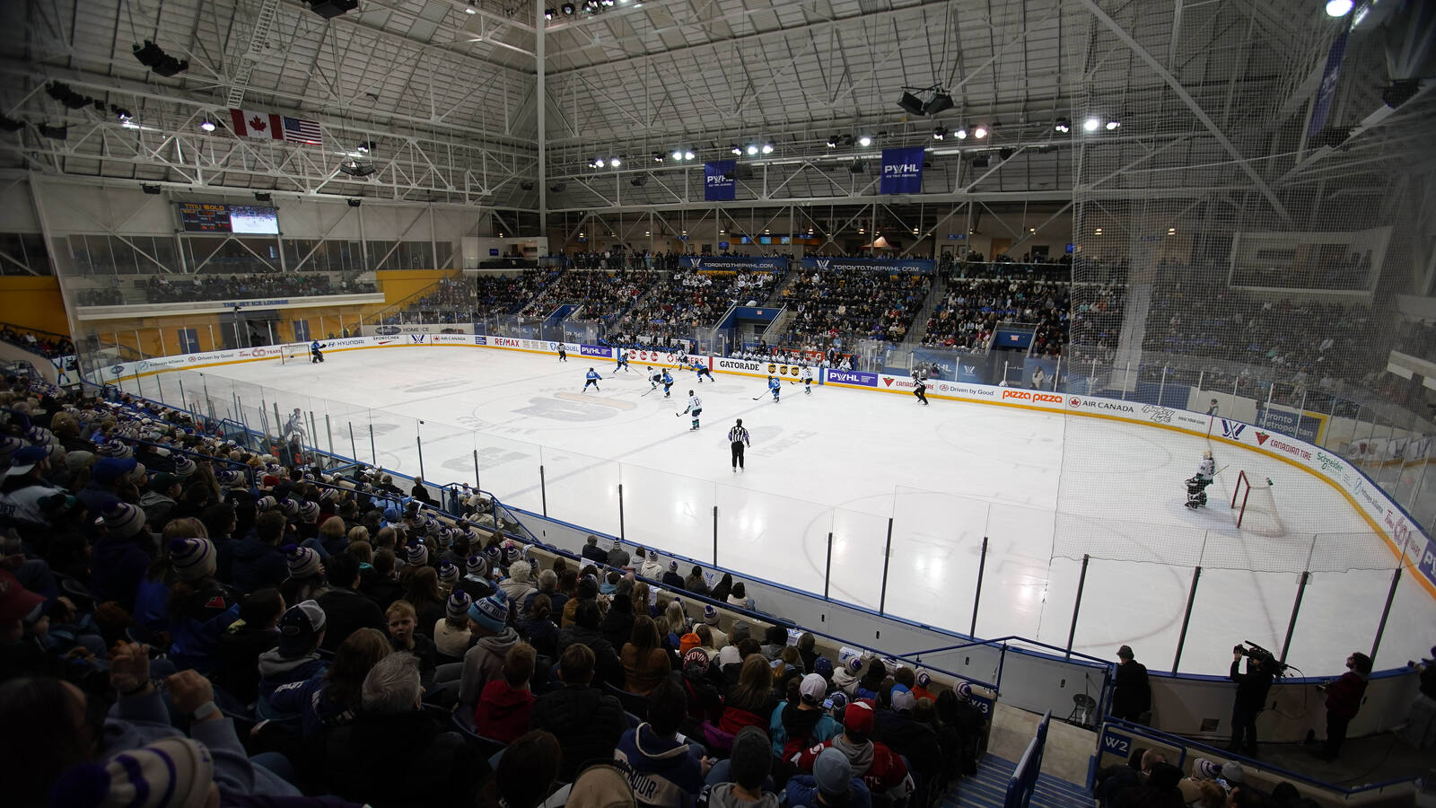 PWHL Toronto re-sign Carly Jackson to one-year contract | Yardbarker