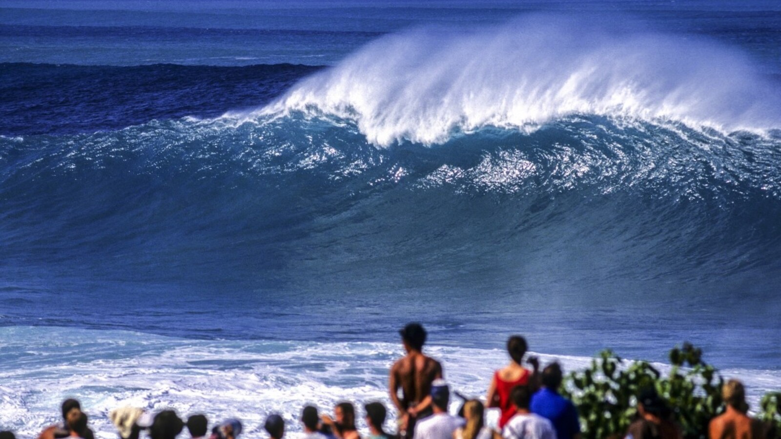 No 40ft Swell Means The Eddie Aikau Big Wave Invitational Will Not Run ...