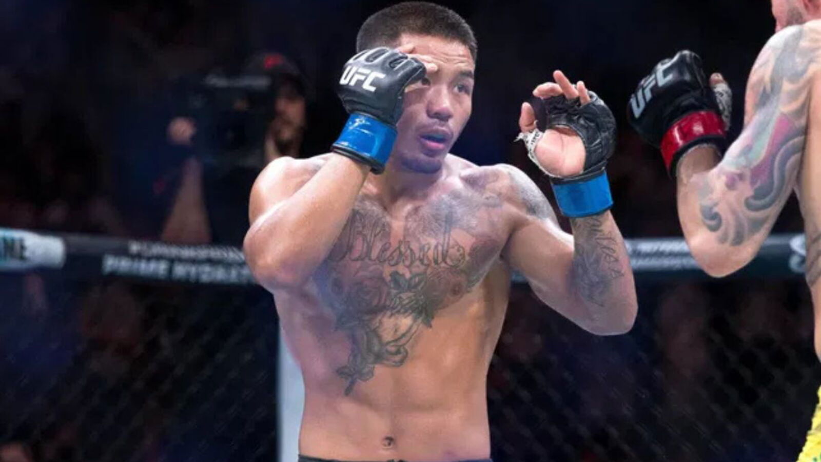 Where Does Joshua Van Train? MMA Coaches, Gym, and Teammates for Merab ...