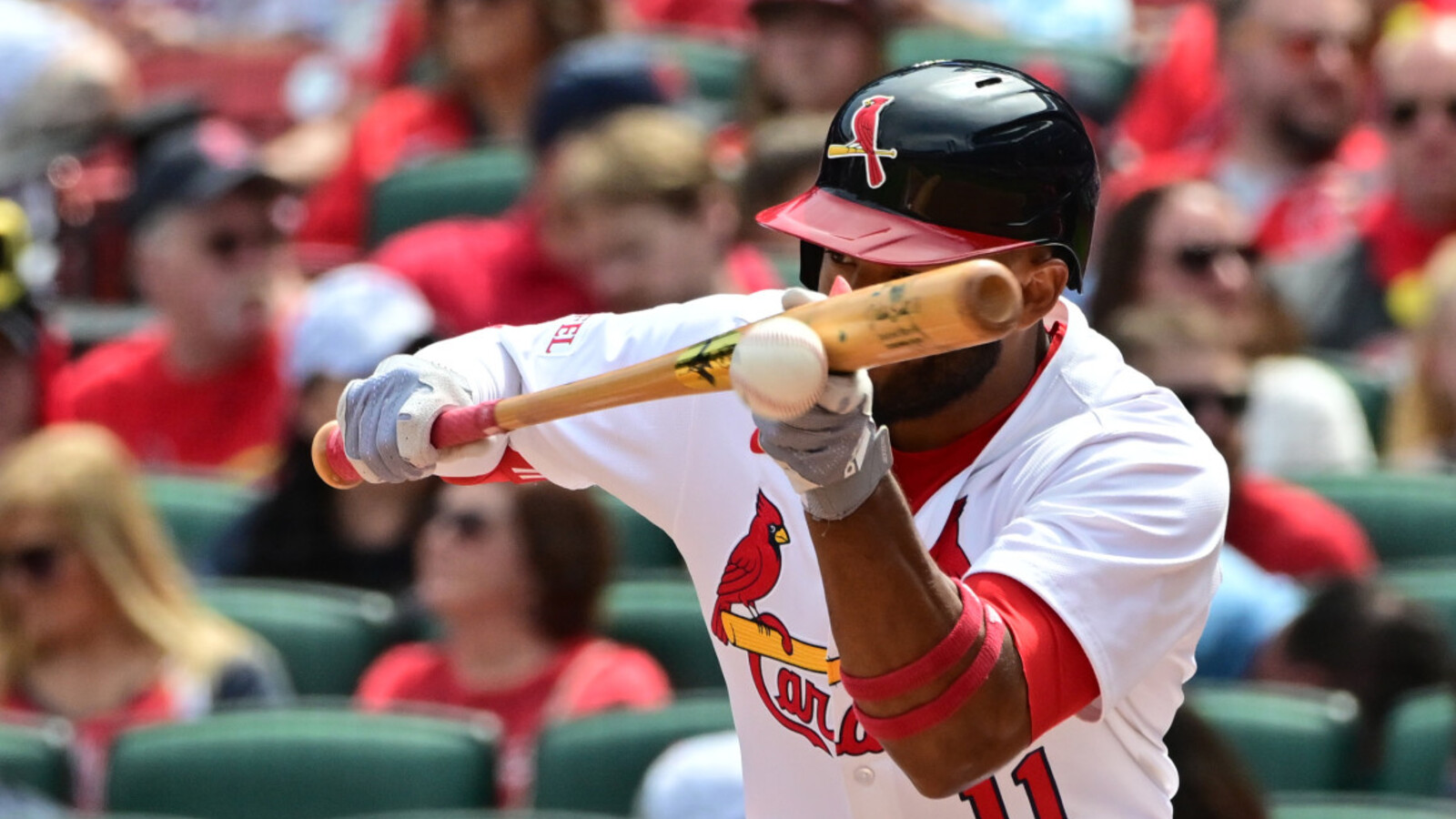 Cardinals' Rising Star studied Ichiro, Other Greats to Learn Overlooked ...