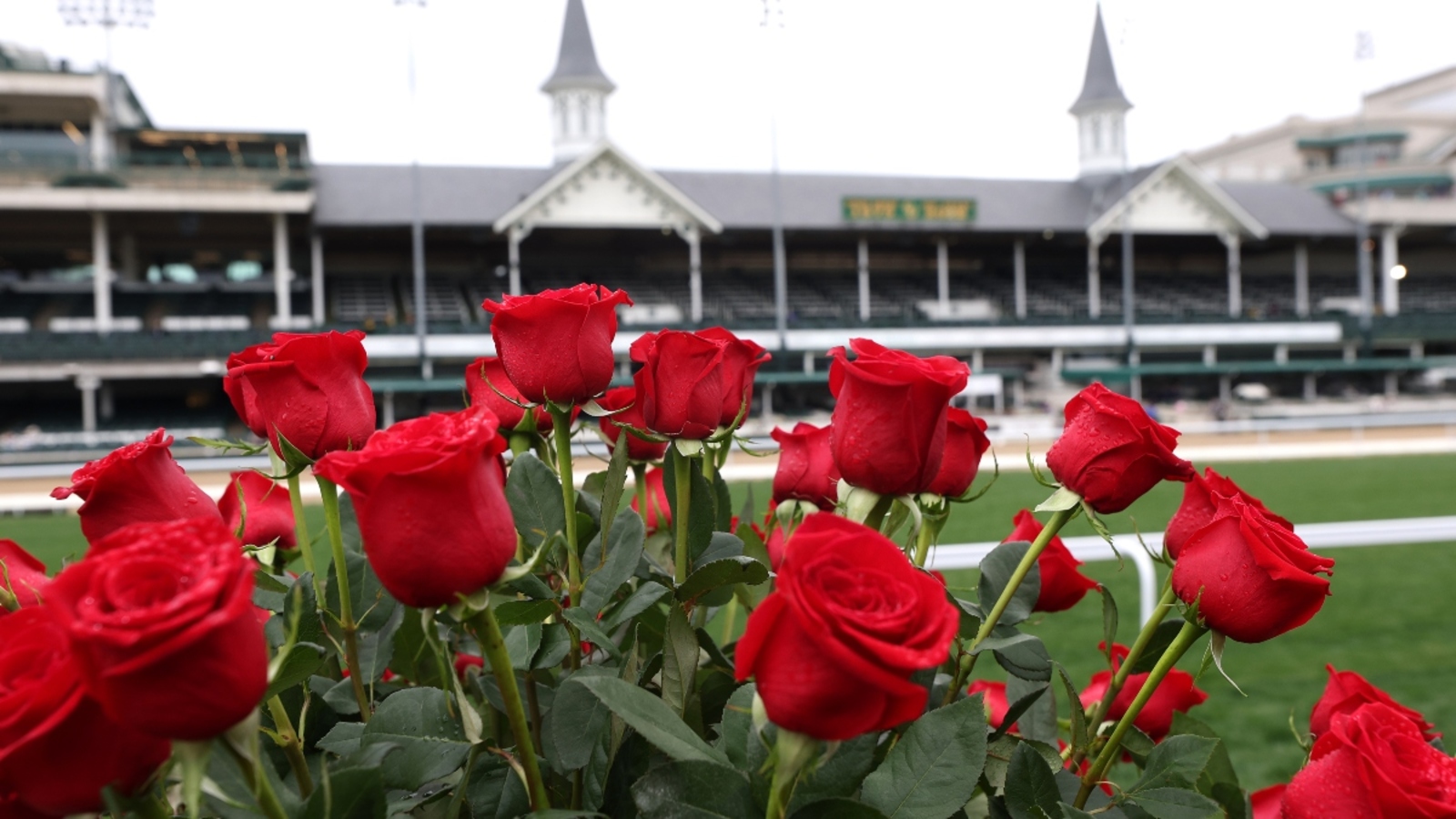 Wild on Ice, Kentucky Derby contender, euthanized after suffering ...