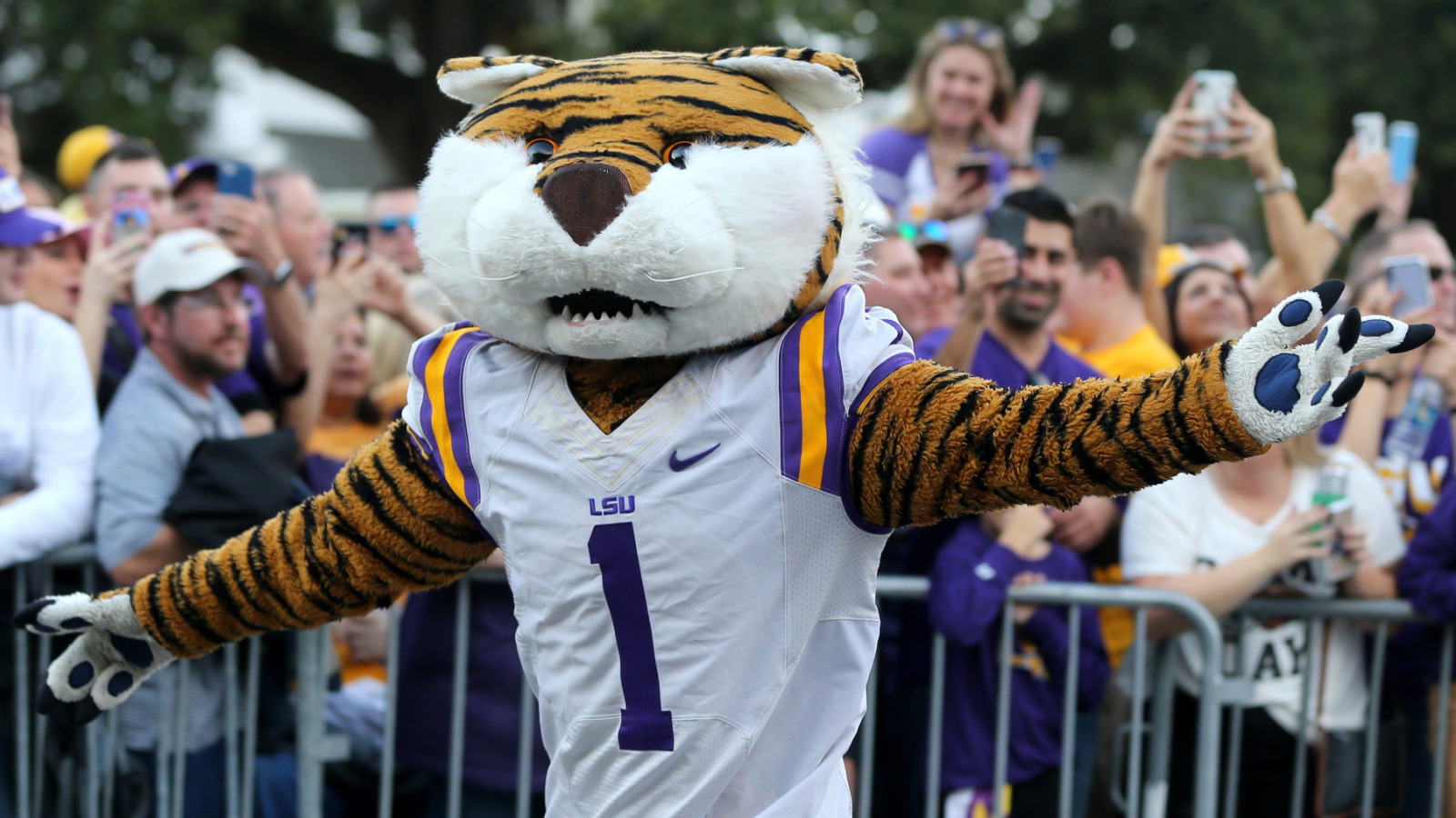 Could a live tiger pace LSU sideline again? | Yardbarker