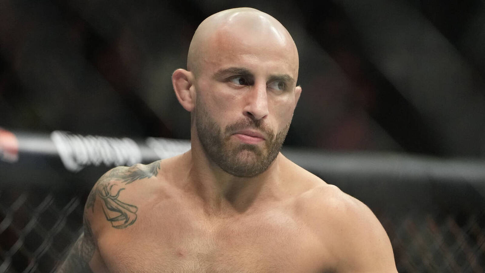 UFC champ Alexander Volkanovski has VR sparring session with Mark ...