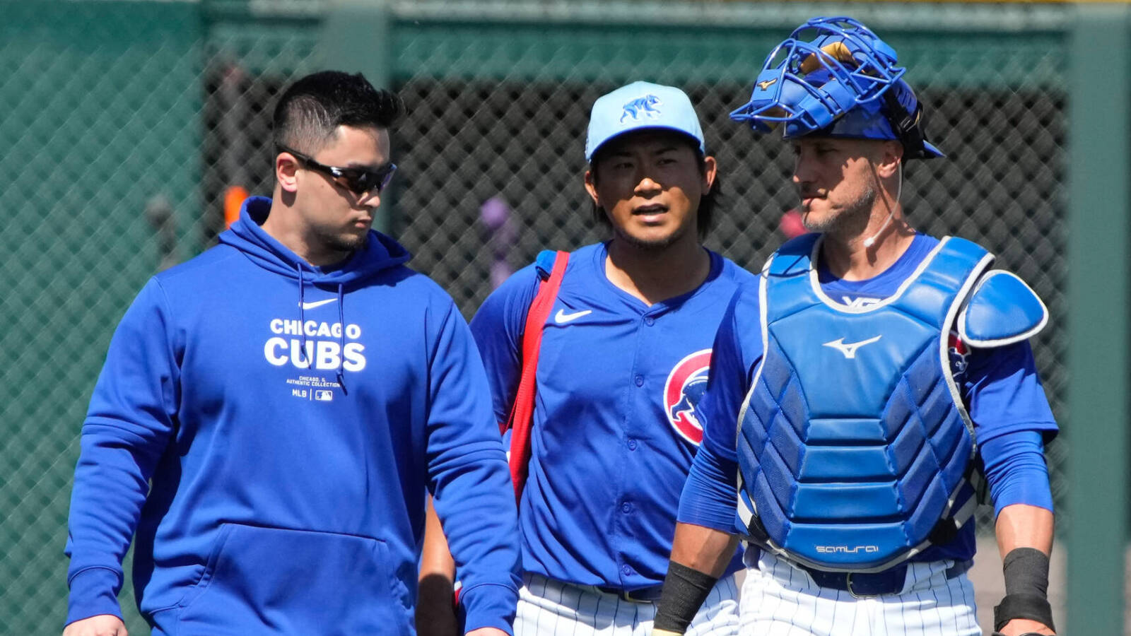 Cubs, Curt Casali Agree To Minor League Deal | Yardbarker