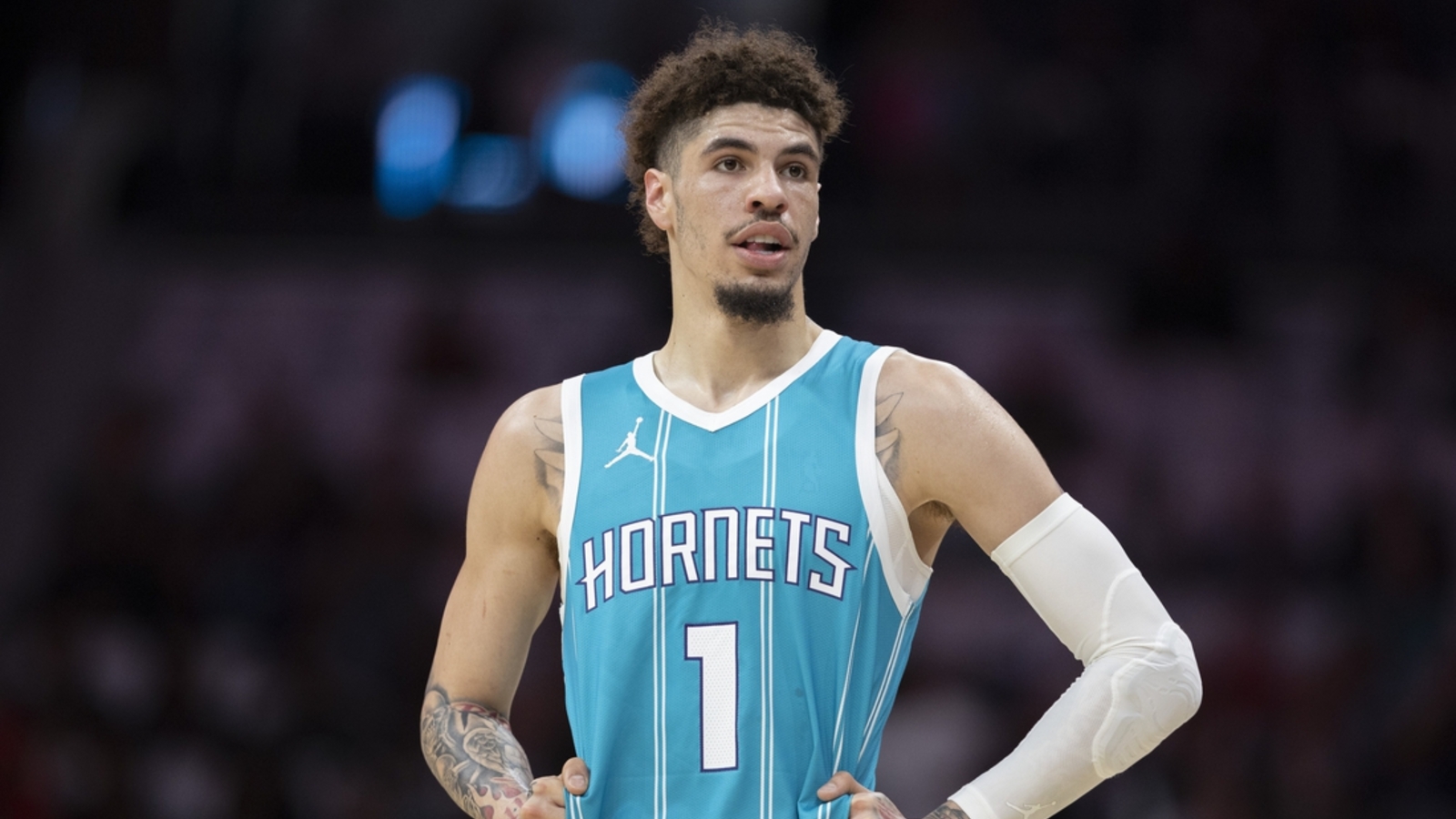 Hornets seek growth as game against Raptors approaches | Yardbarker