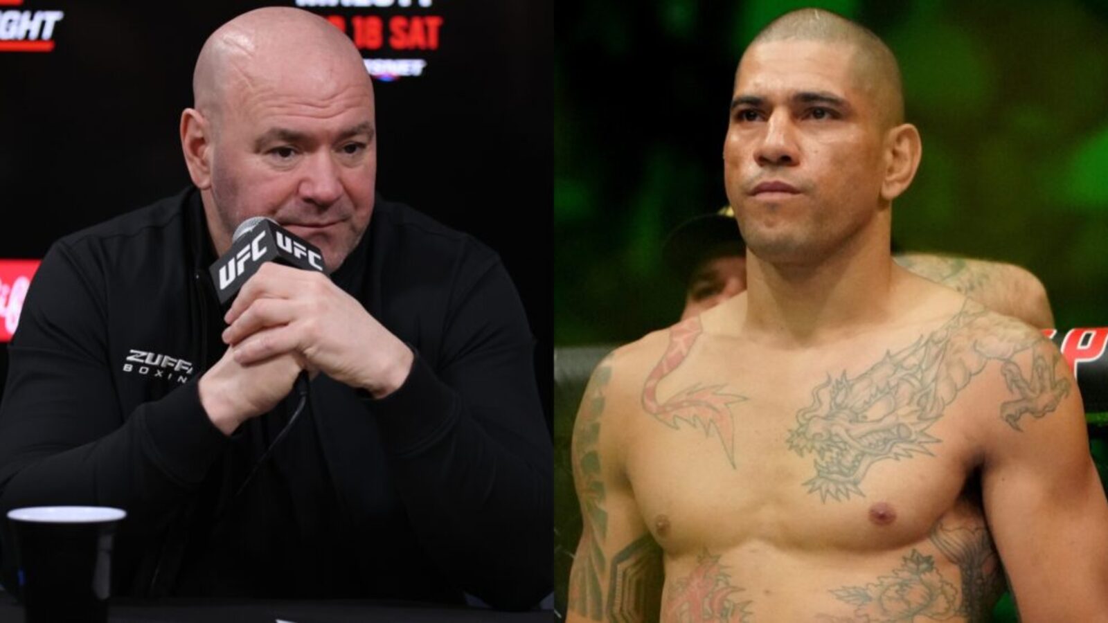 'It’s Promoter Talk'- MMA Veteran Dismisses Dana White’s GOAT Claim ...