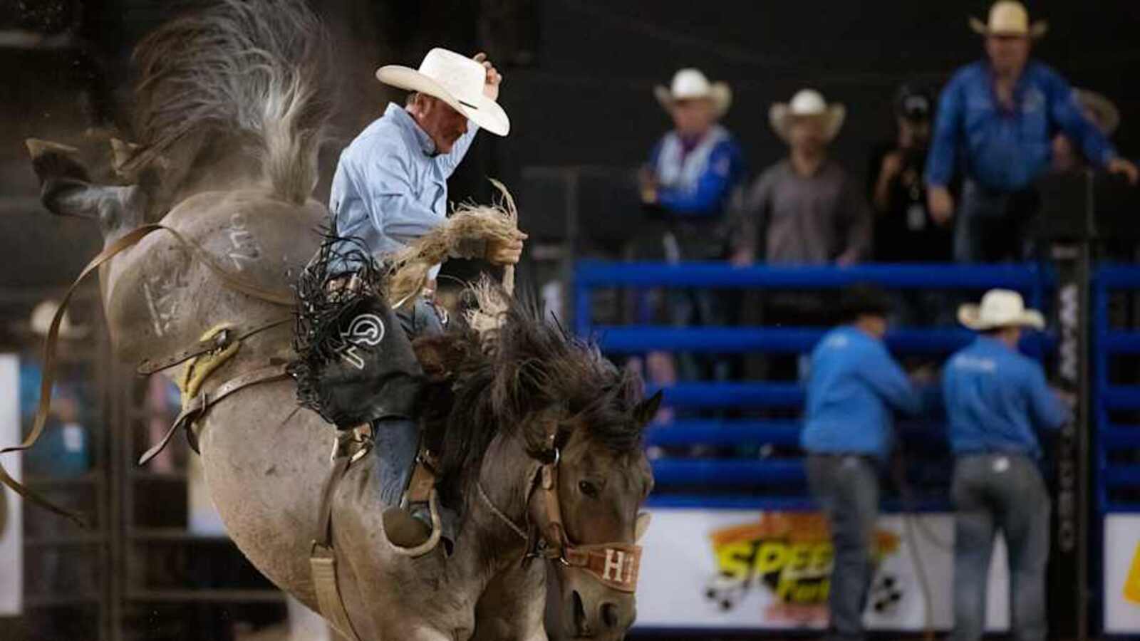 After Decades of Excellence Vold Rodeo Company To Be Sold After 2025 ...