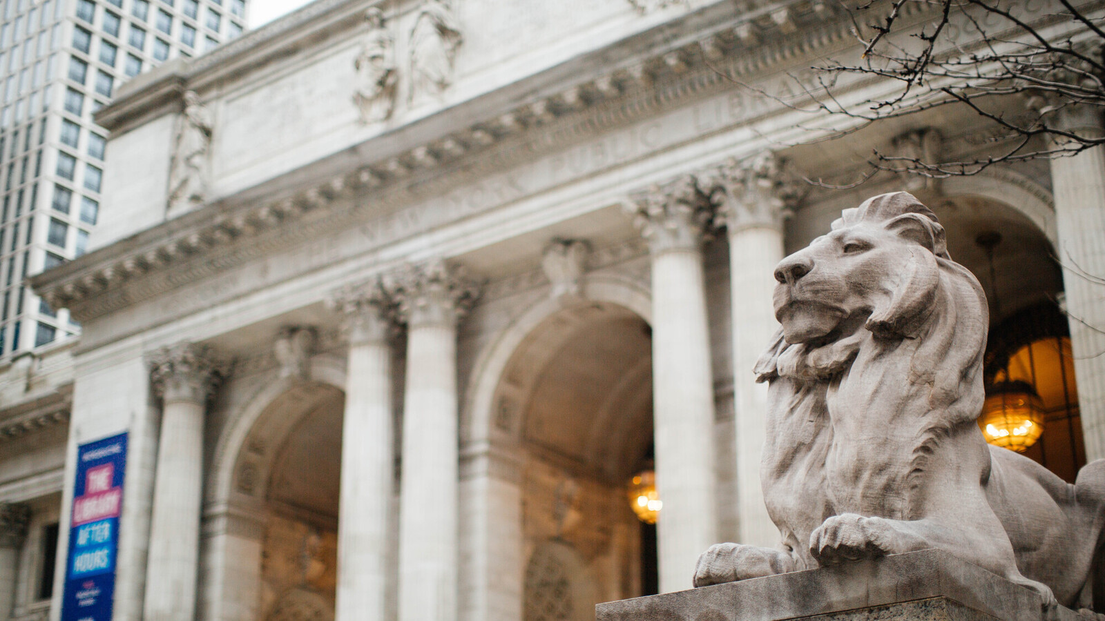 20 of the most stunning libraries in the United States | Yardbarker