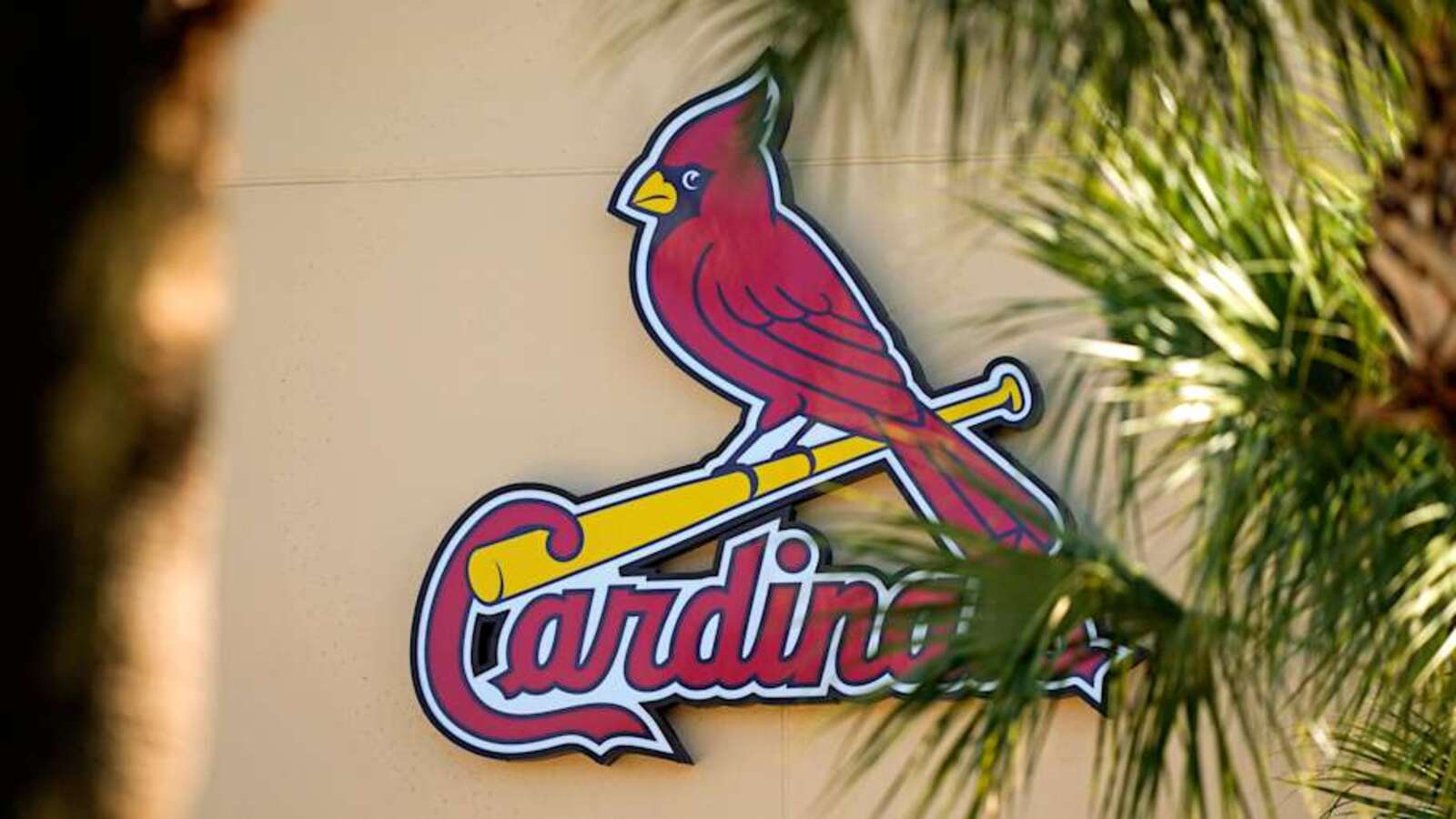 Cardinals 25-Year-Old Looking Like Perfect Opening Day Option | Yardbarker