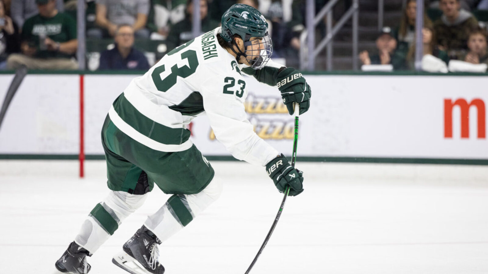 Shane Vansaghi – 2025 NHL Draft Prospect Profile | Yardbarker