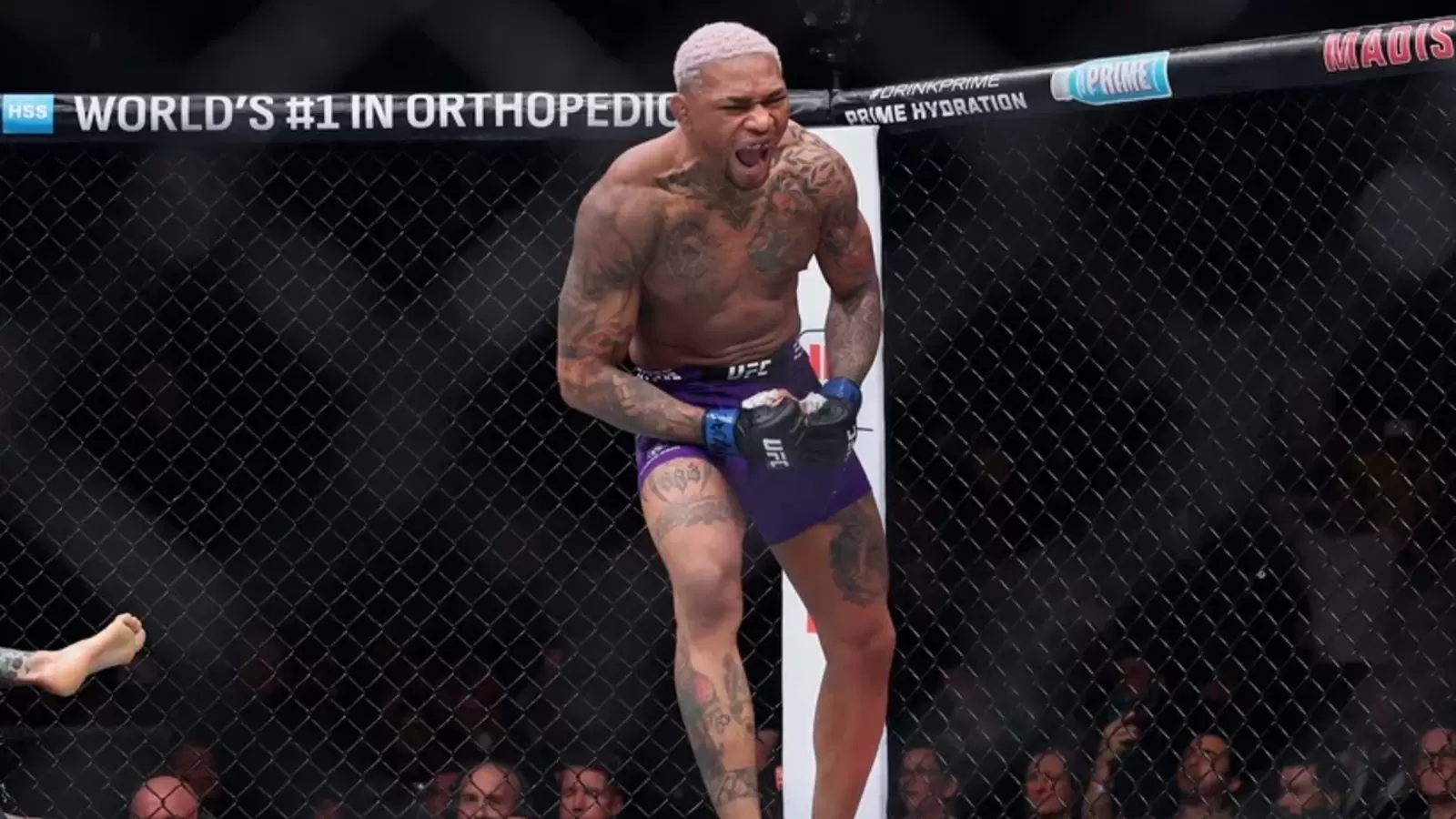 Michael Morales Explodes After Tapology Unearths Ancient Loss to ...