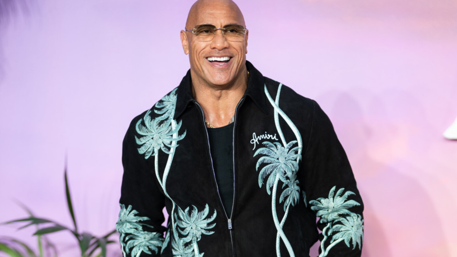 Dwayne ‘The Rock’ Johnson left convinced he was going to die in plane ...