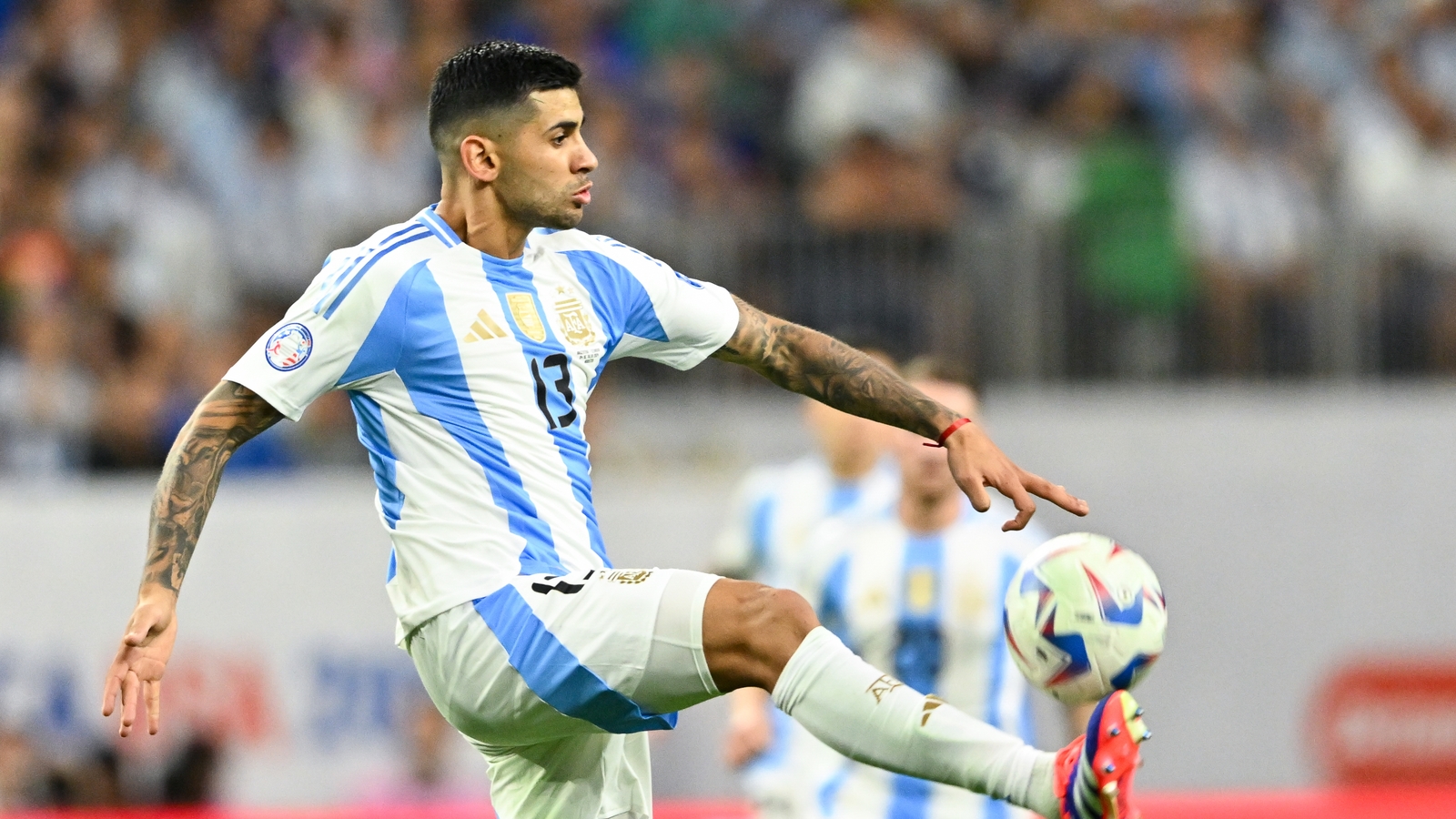 'He is the backbone…'- Ex-player Steven Caulker urges Tottenham to ...