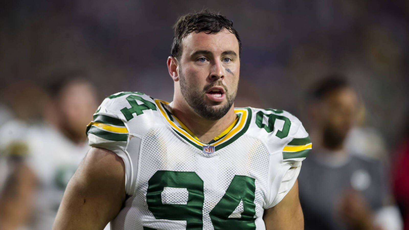 Vikings add defensive lineman from NFC North rival | Yardbarker