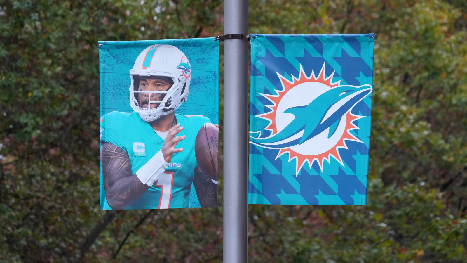 The Man Who Will Run the Dolphins After Stephen Ross: Daniel Sillman ...