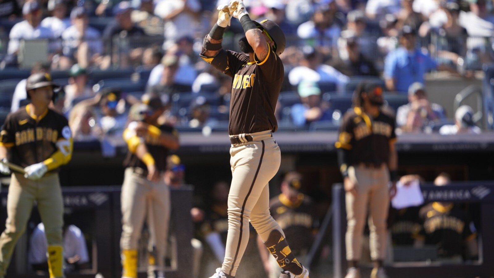 Padres Free Agent Infielder Signs With NPB Team in Japan | Yardbarker