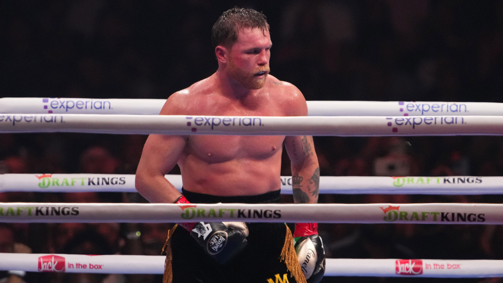 ‘Pitbull’ Cruz Eyes The ‘Throne’ After Canelo’s Retirement | Yardbarker