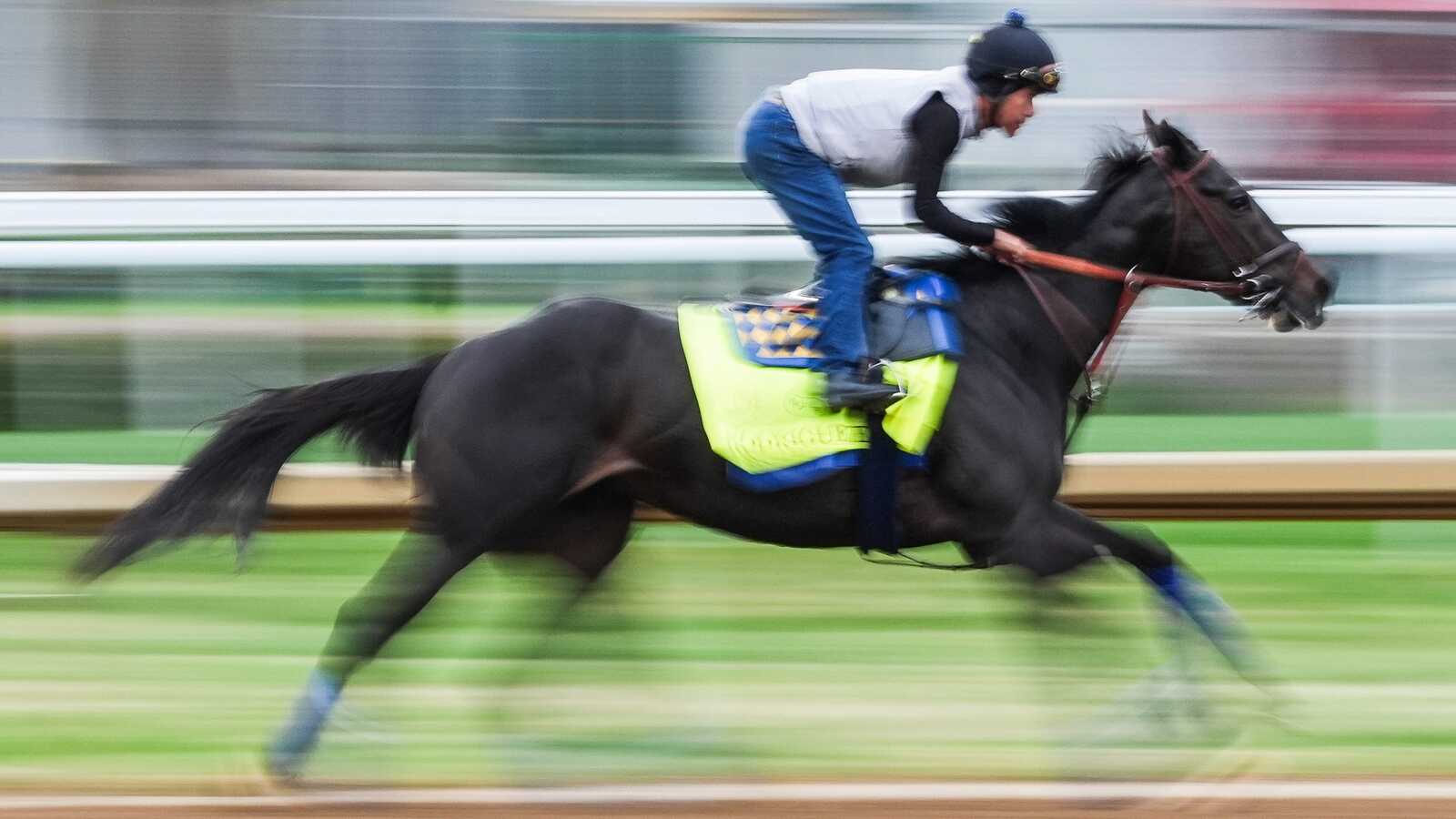 Kentucky Derby Contender Scratched Before Saturday's Race | Yardbarker
