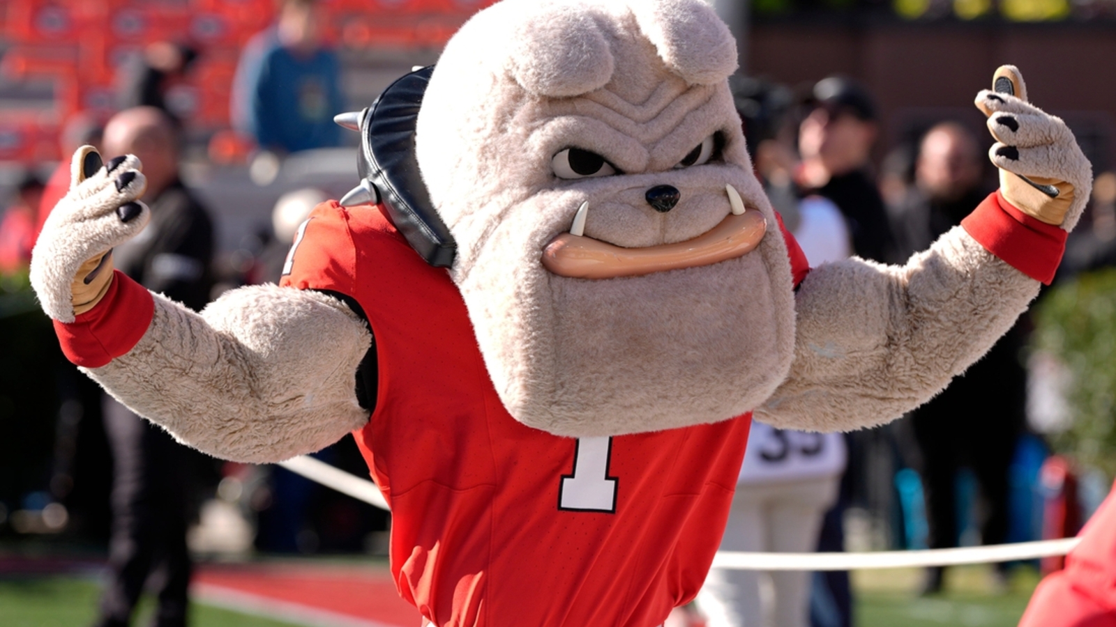 Nielsen numbers: Georgia was most-watched team in 2024 | Yardbarker