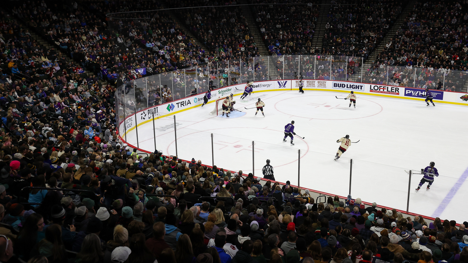 PWHL named Sports Breakthrough of the Year at Sports Business Awards ...