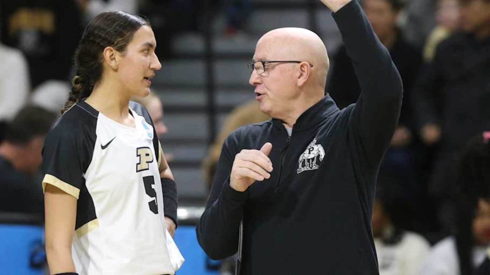 What Purdue's Dave Shondell, Kenna Wollard and Taylor Anderson Said at ...