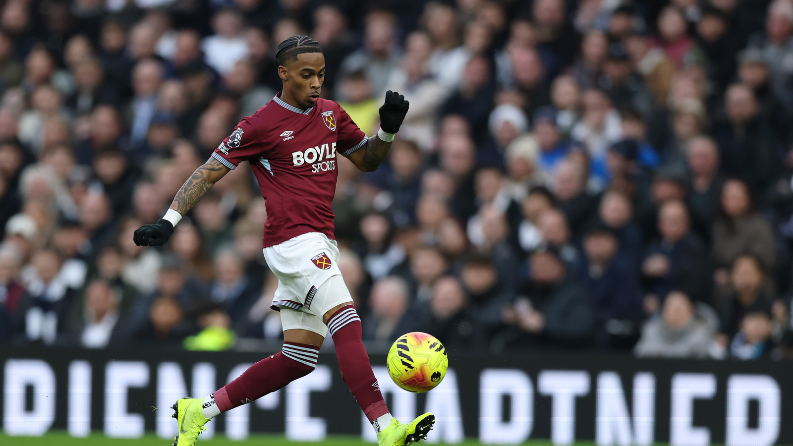 Tottenham target 24-year-old Premier League star as Son successor to ...