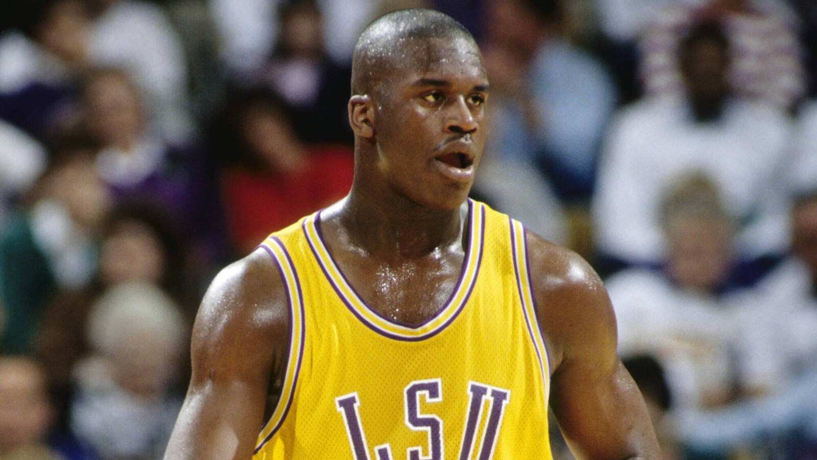 The 20 greatest players in LSU men's basketball history | Yardbarker