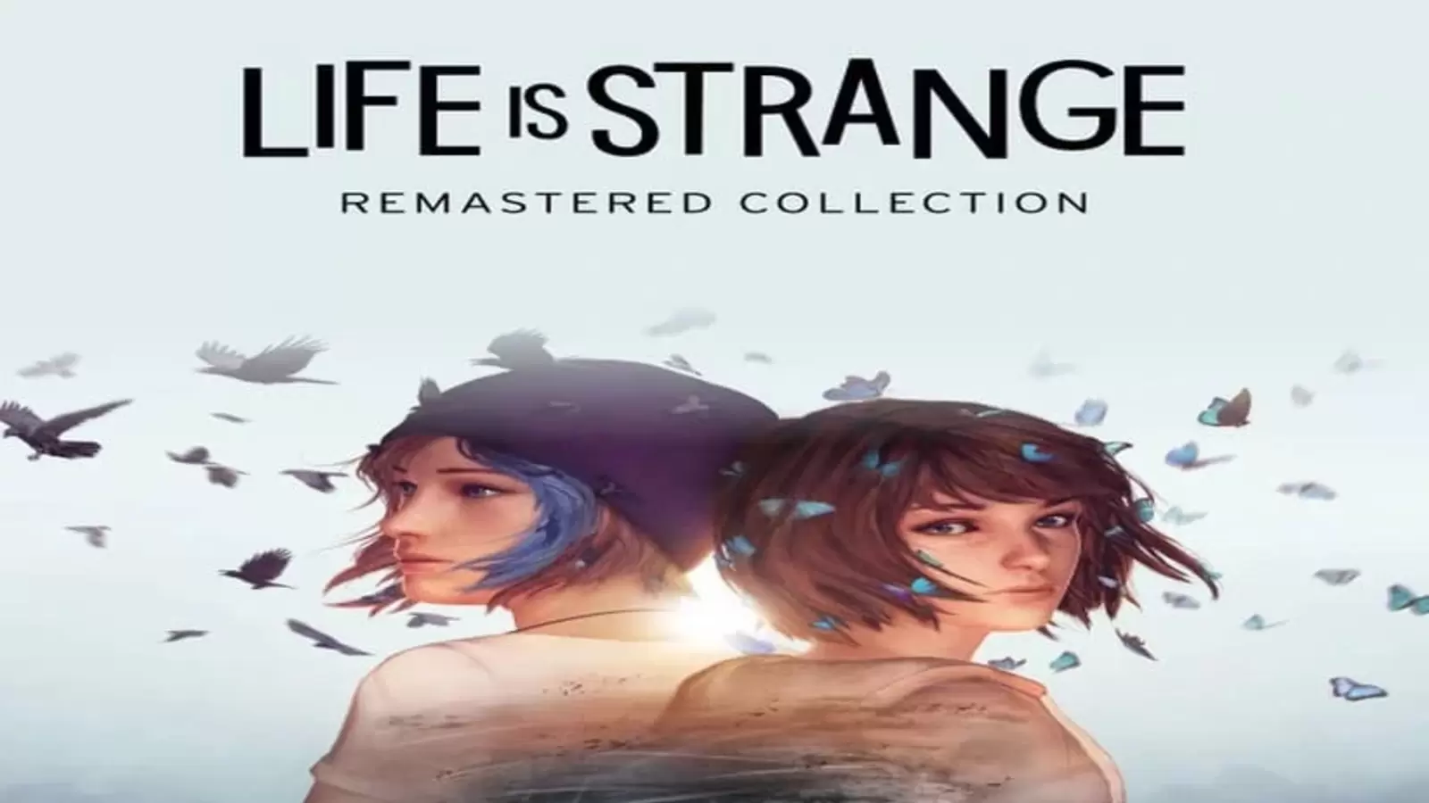Life is Strange Is Back Again And That Mysterious Crow Is Flying Back ...