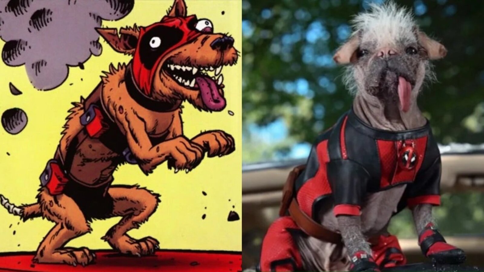 Who Is DEADPOOL 3’s Dogpool? Marvel’s Mutant Mutt, Explained | Yardbarker