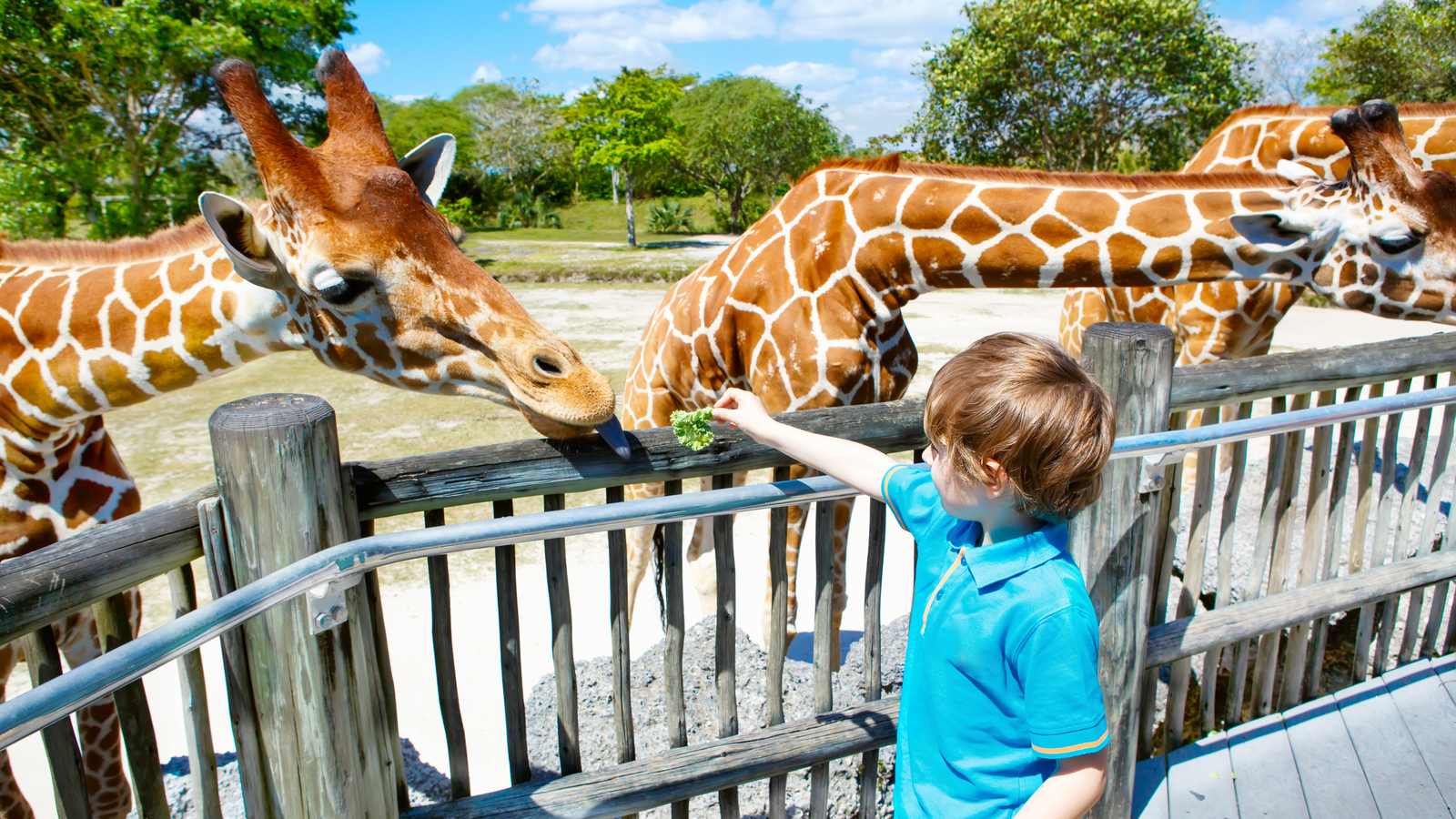 18 free (or cheap) summer activities for kids | Yardbarker