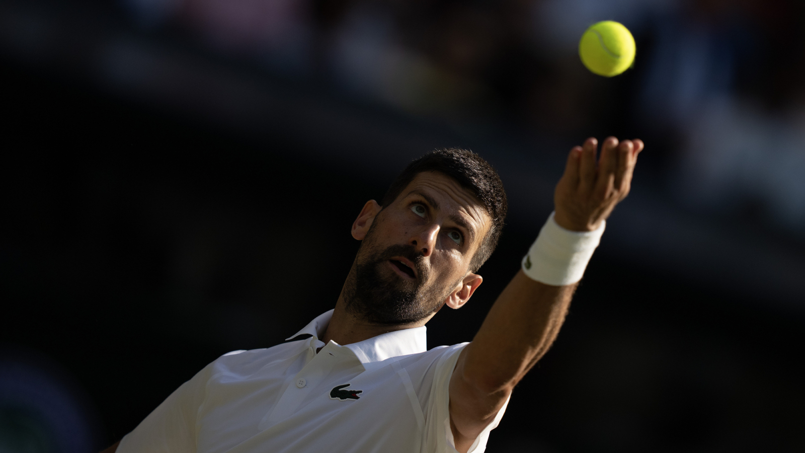 Novak Djokovic vs The Rest: His Grand Slam tally still crushes all ...